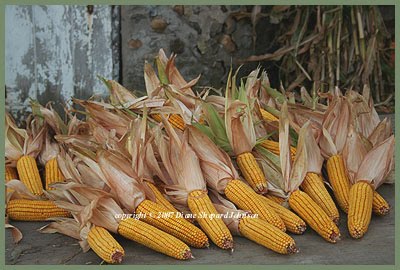 Corgyncombe Courant: The Corgyncombe Agricultural Fair and Exhibition!