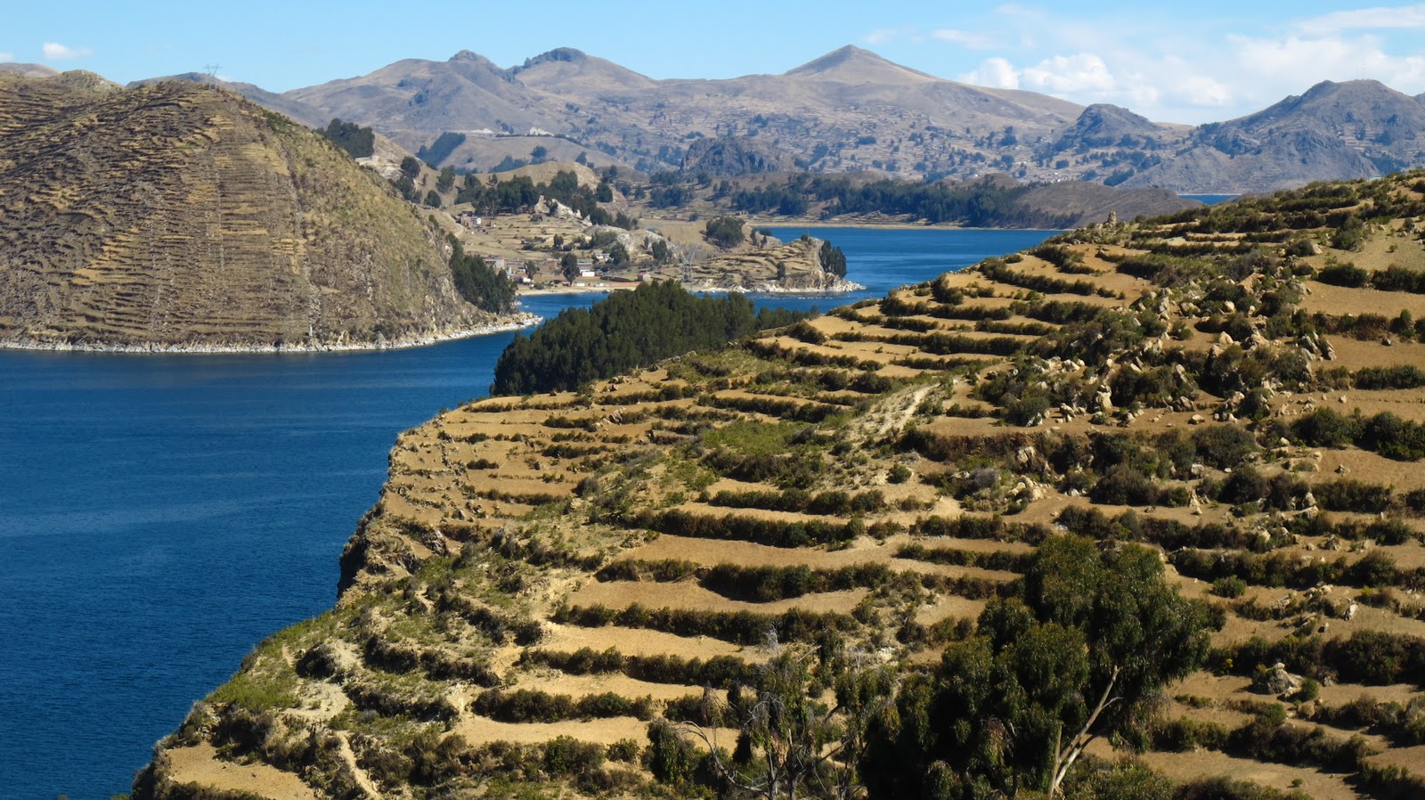 Sur le chemin des Andes: Le lac Titicaca, tout pres du ciel