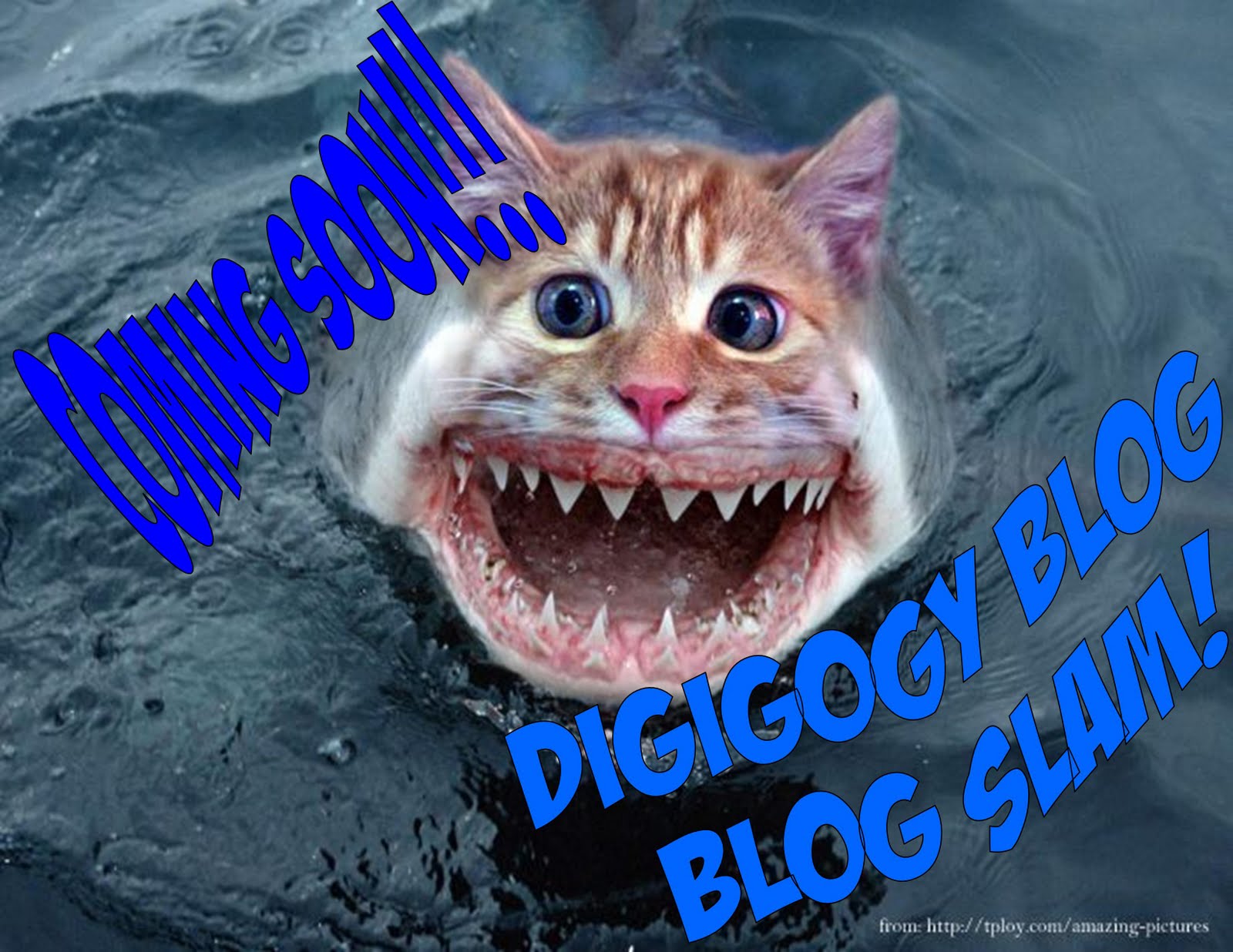 Digigogy: BLOG SLAM!