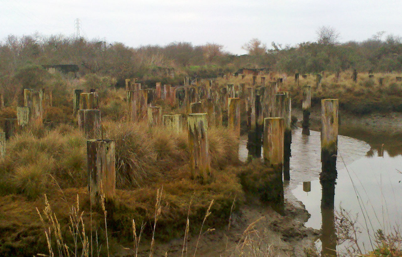 the art garden: Innovative Use of Natural + Built Landscape