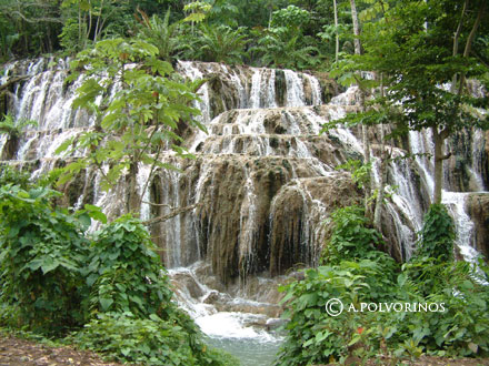 biodiversidad en tabasco