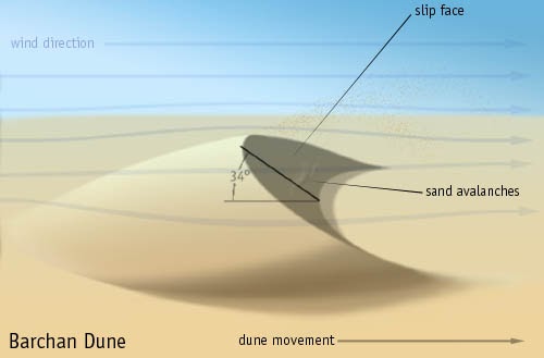 Geologi Indonesia: Barchan dune