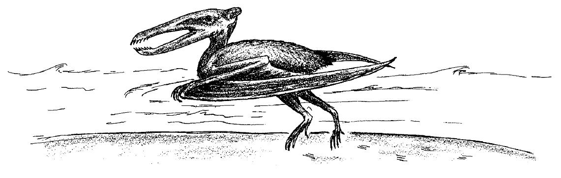 Pterosaur.net Blog: How a giant ape nearly brought flightless ...