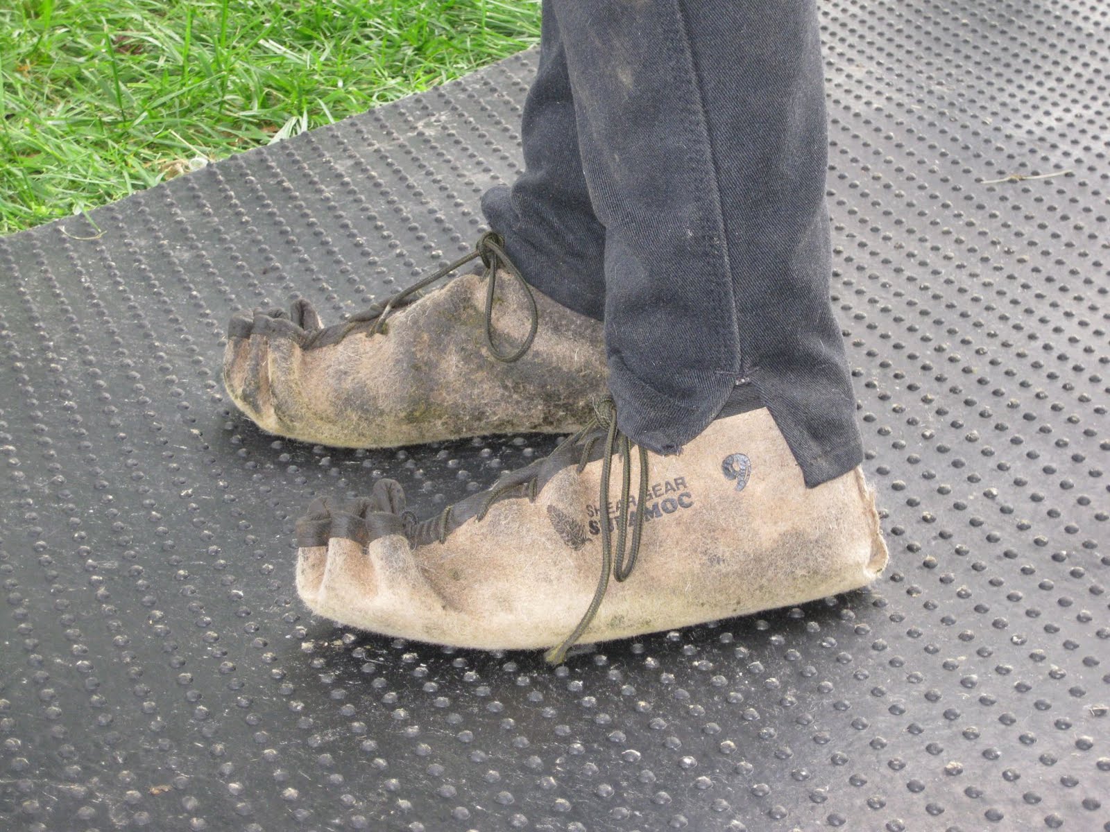 Have Ewe Any Wool?: Maryland Sheep and Wool - Sheep to Shawl Competition!