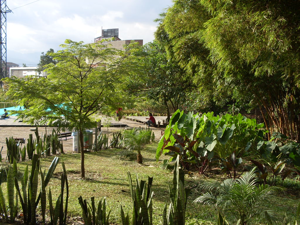 Parque lineal La Presidenta