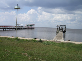 LA Quilter: Miscellaneous Pictures from So Louisiana