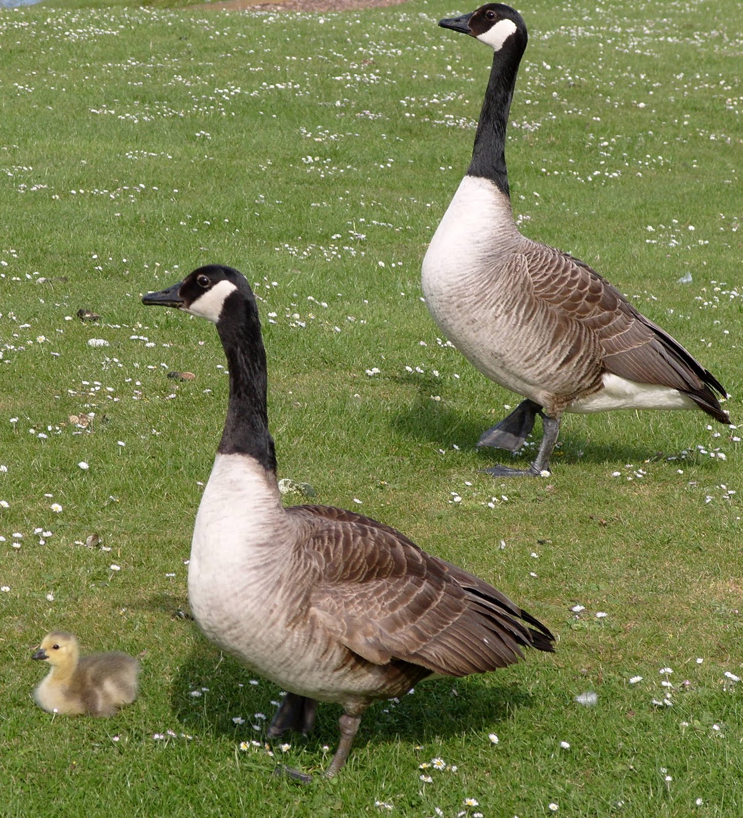 May 2010 | Mulled Whines