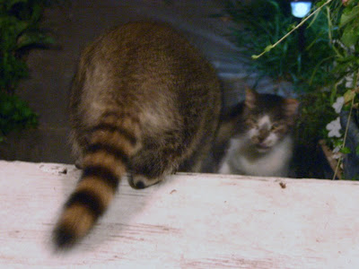 Which State Produces the Best Football - Tournament Edition (Round 4 ...