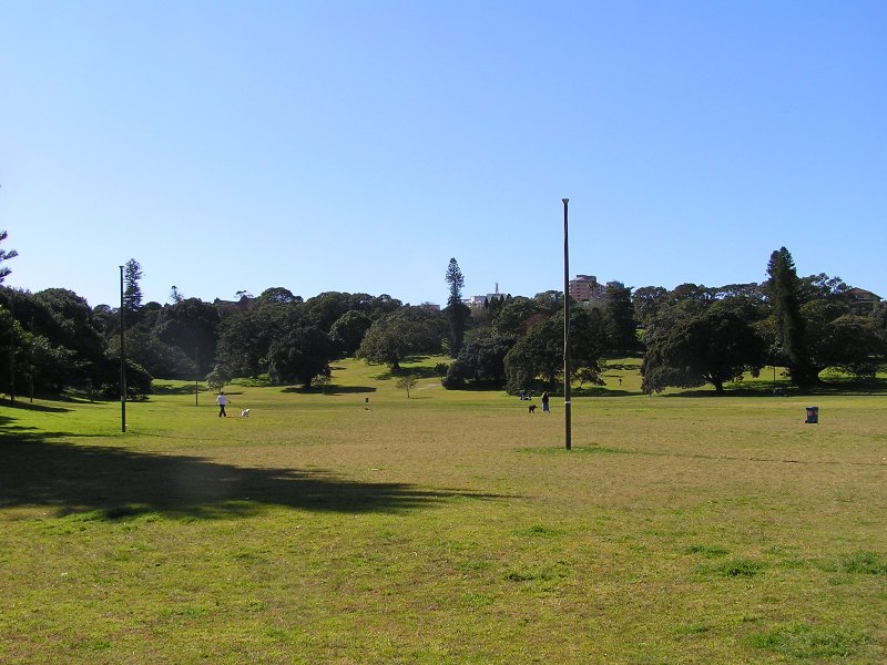 The Wandering Arborist: Sydney Green Space