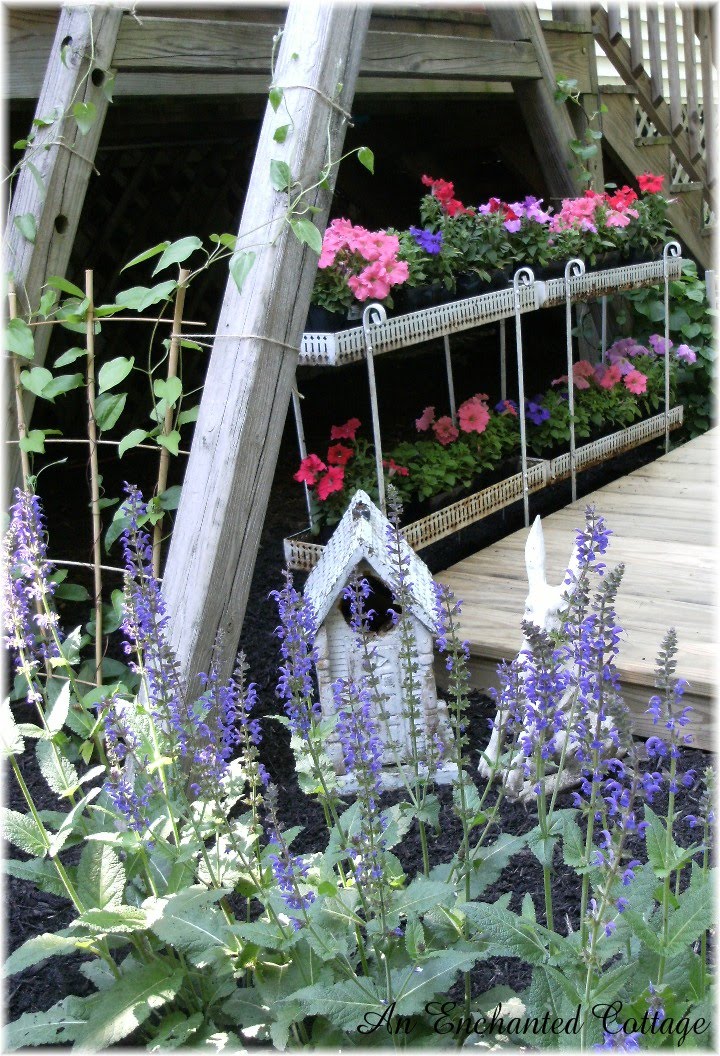 An Enchanted Cottage: ... blooms, bunnies and birdhouses