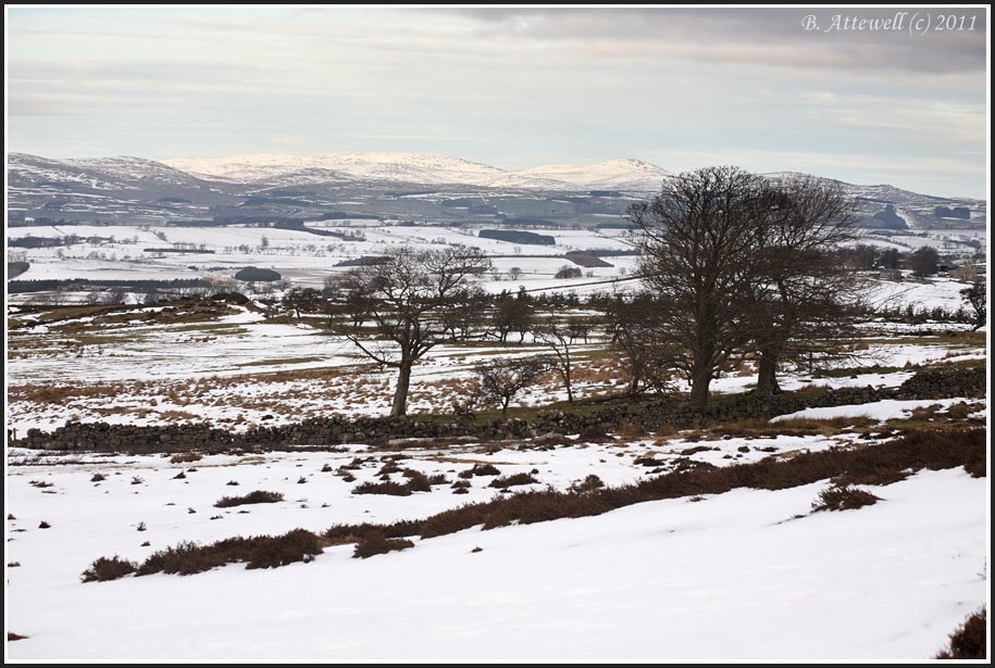 Bryan's Photo Blog: Snow around Rothbury