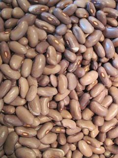 The Family Garden: Kentucky Wonder Beans, Dried