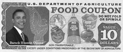 Stormy Politic: Obama Officially "The Food-Stamp President" As Usage ...