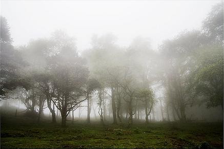Burlas y Veras: Brumas matinales