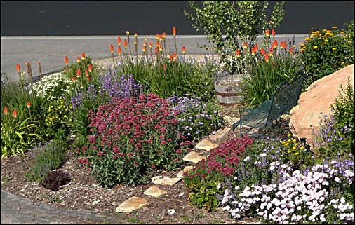 High Altitude Gardening: Long Blooming Perennials