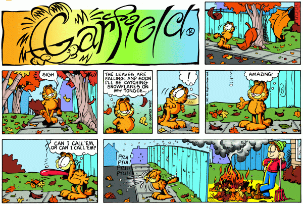 Confessions of a Holiday Junkie!: Garfield in the Fall