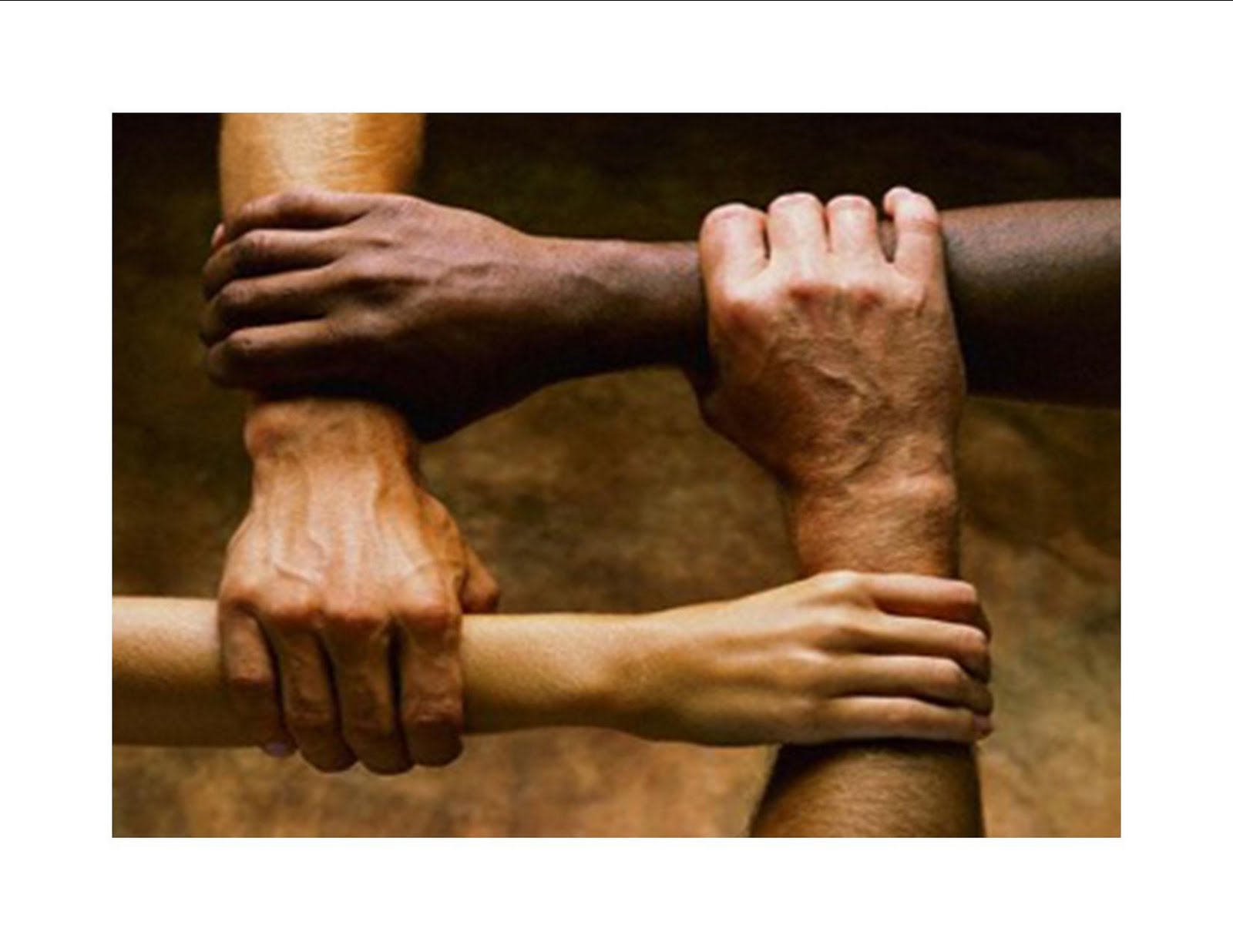 El Quixot: COMPETITIVIDAD Y ALTRUISMO