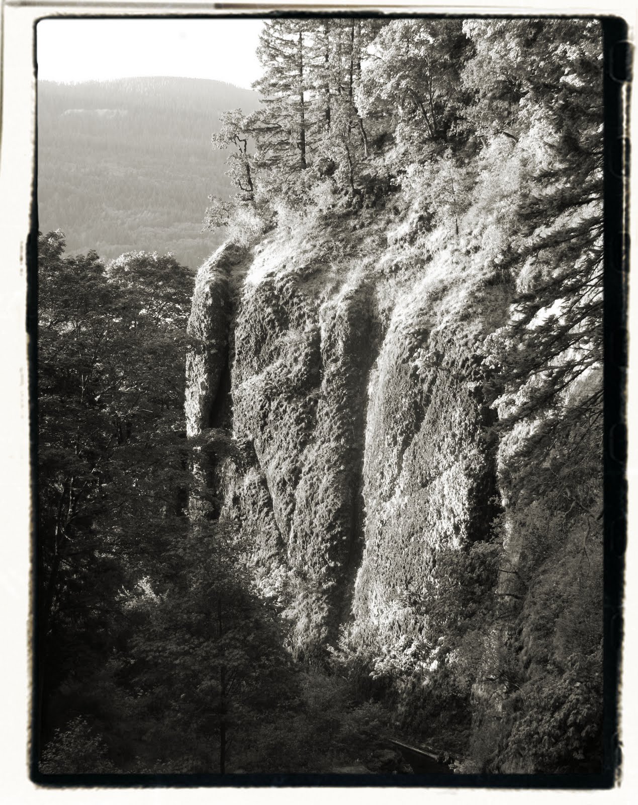 Lora R Fisher | Reflections: August 2010