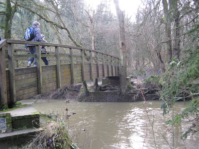 Rambling On...: Box Hill to Leatherhead