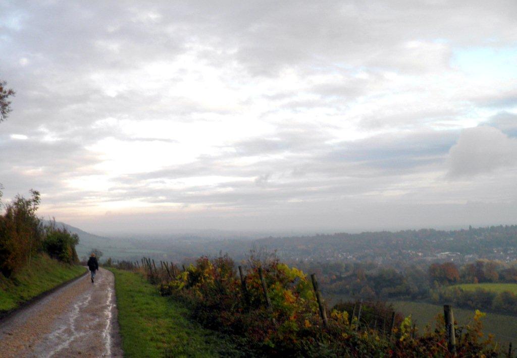 Rambling On...: Hampstead Ramblers enjoy the Autumn colours