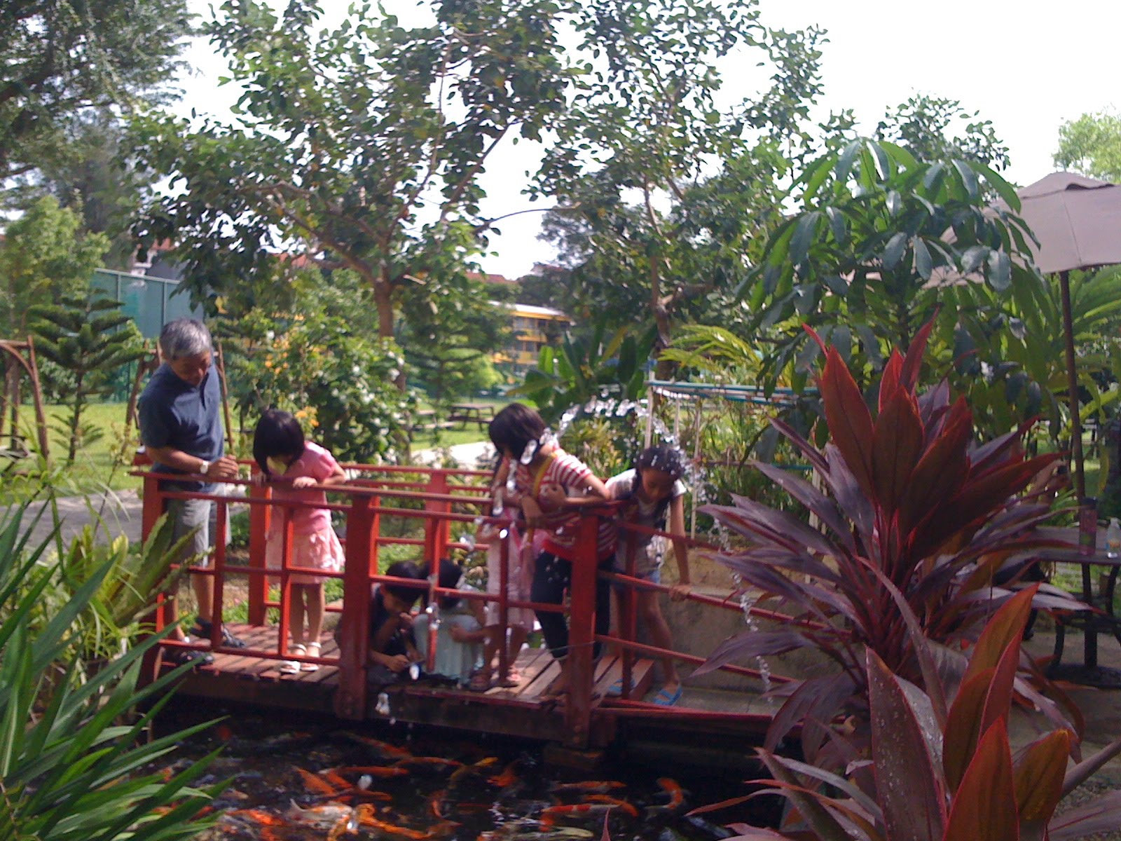 Stupendous Kyle: Orientation at Cedar Primary School