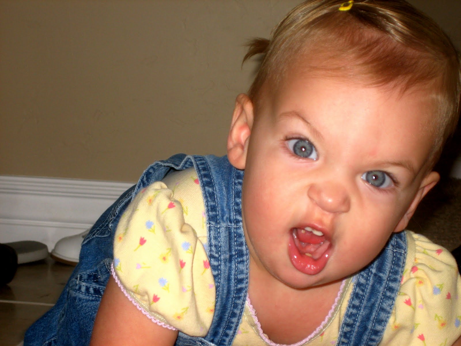 Steveson Family: The GROWL face