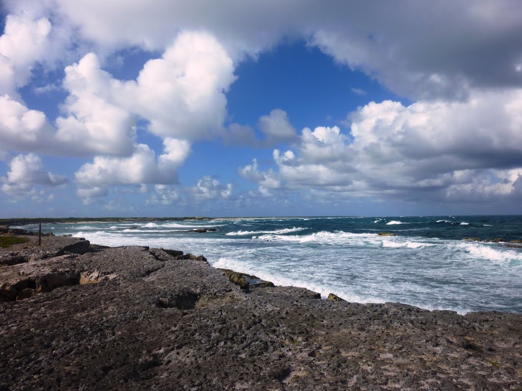 Le grand voyage des Marcazzan: Barbuda : Spanish Point et Cocoa Point