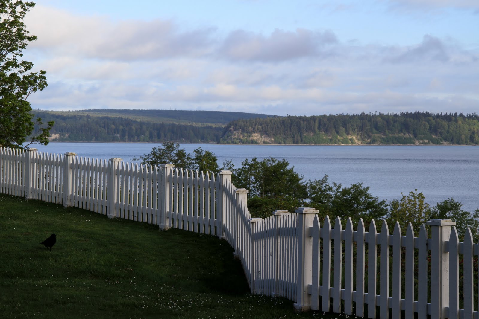 Serendipity and Orchids: Anderson Lake State Park