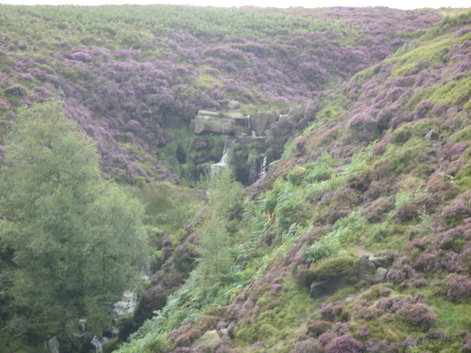 Atmospheric & Haunted Places: Haworth moor