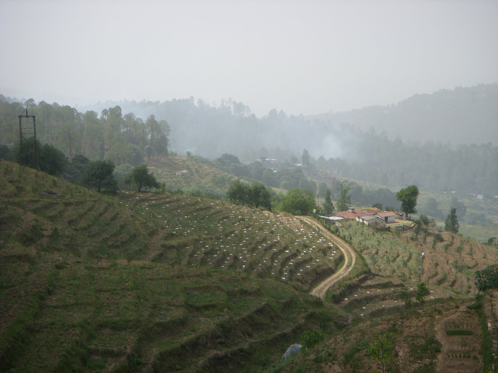 Deep's Travelogue: Restful Ranikhet