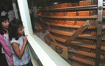 ONE TO FLY: High 5 Bread Town & Shah Alam Tour (1 Day Trip)