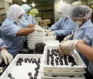 ONE TO FLY: Beryl's Chocolate Kingdom & Yakult Factory Visit (1 Day Trip)