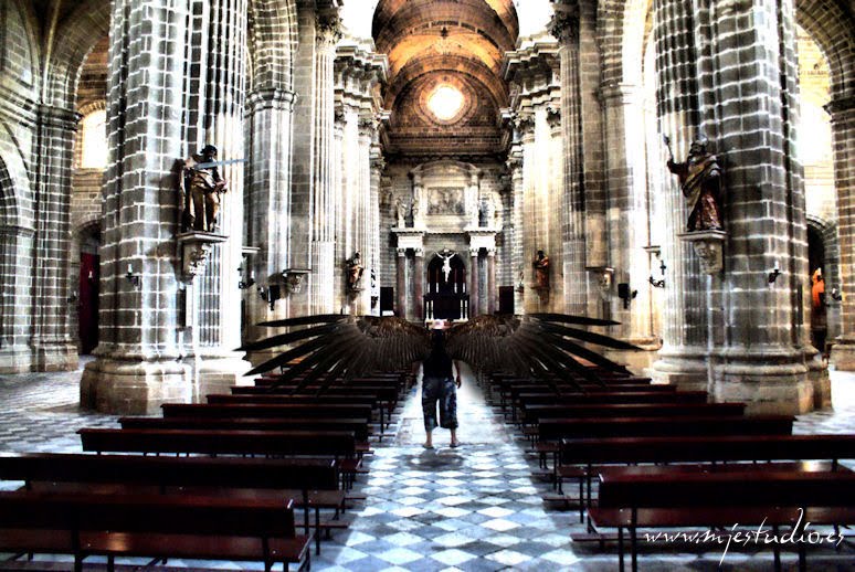 Mj Estudio Freelance: 2010-07-25