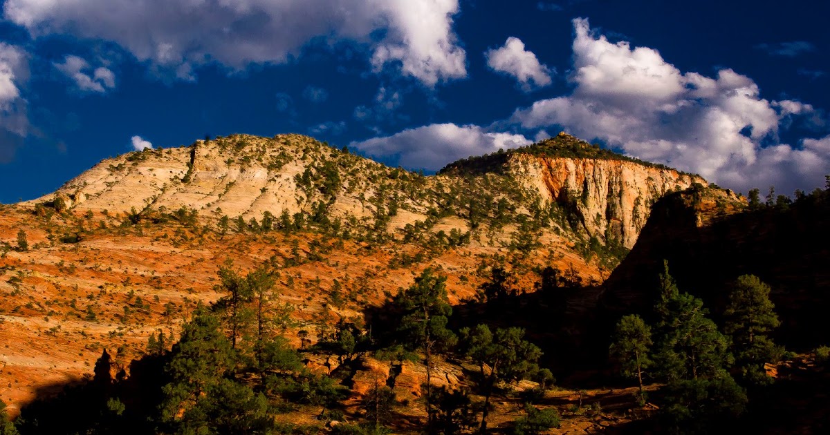 365 Days in Zion: Day 348: September 8, 2005 - Contrasts