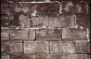Block Wall: The Perfect alternative to block walls