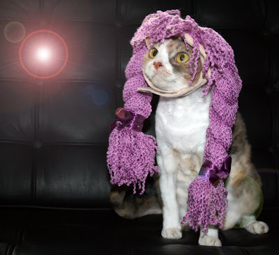 Daisy the Curly Cat: I Got Purple Hairs