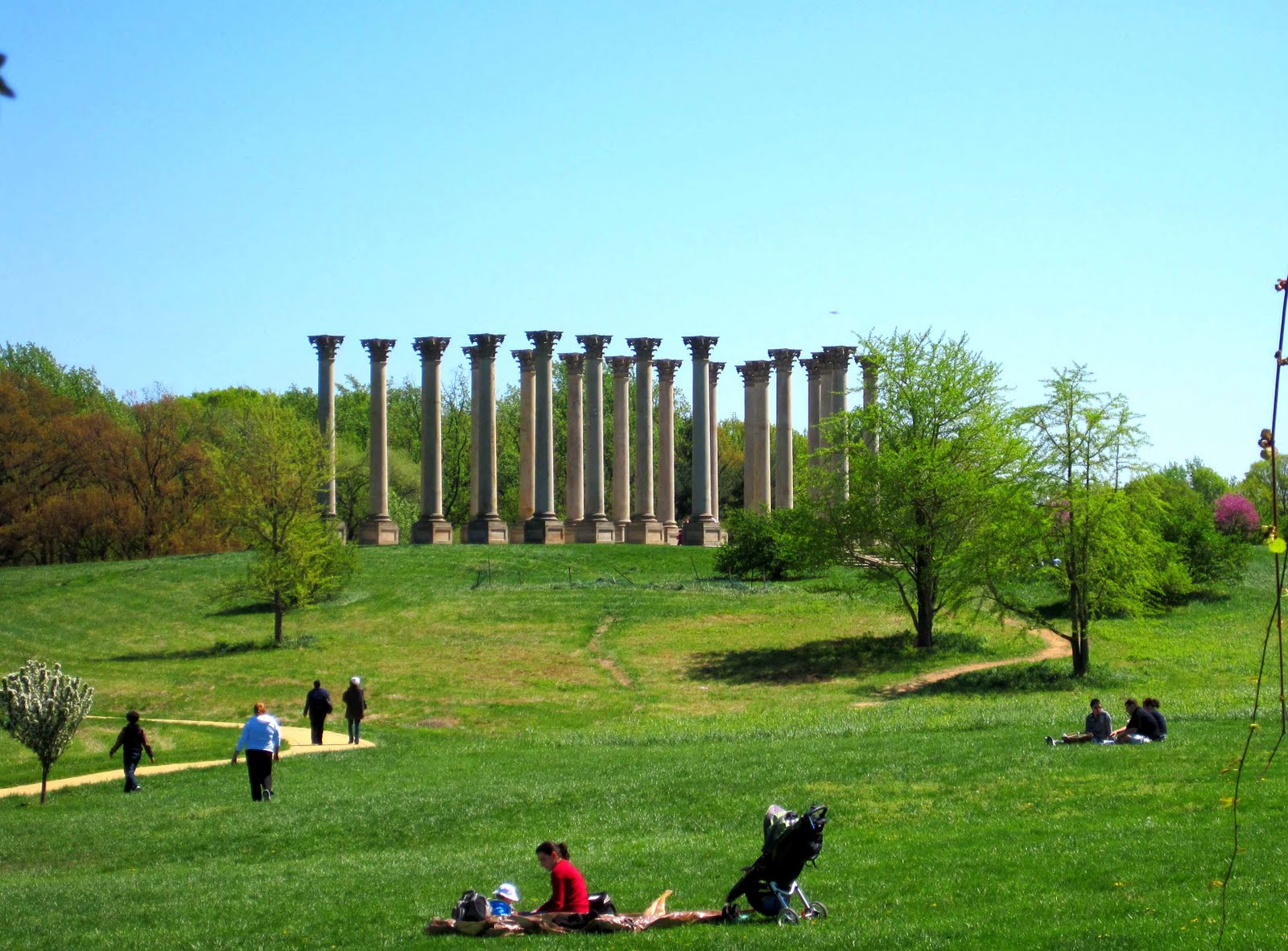 architect design™: Capitol Columns