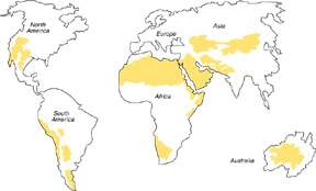 CLASE 5° A- ESCUELA 7- RIVERA: BIOMA: ESTEPA