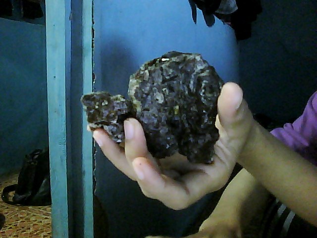 CV.Sarana Nusantara: Gum Damar