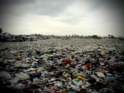 pencemaran lingkungan