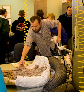 Central Arizona Geology Club: Western Association of Vertebrate ...