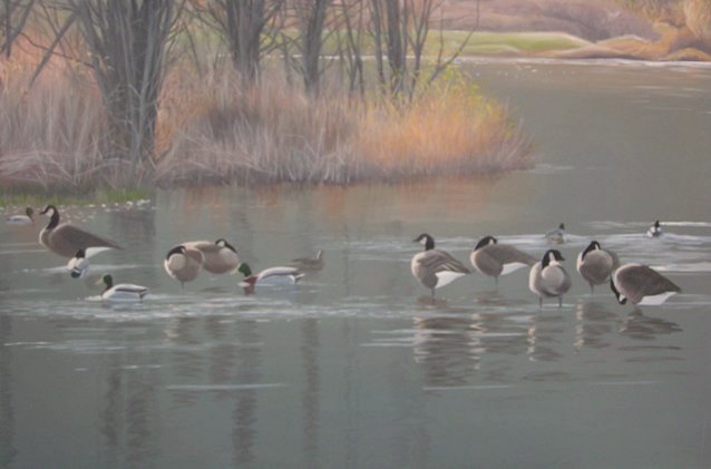 The Art of Peter Mathios