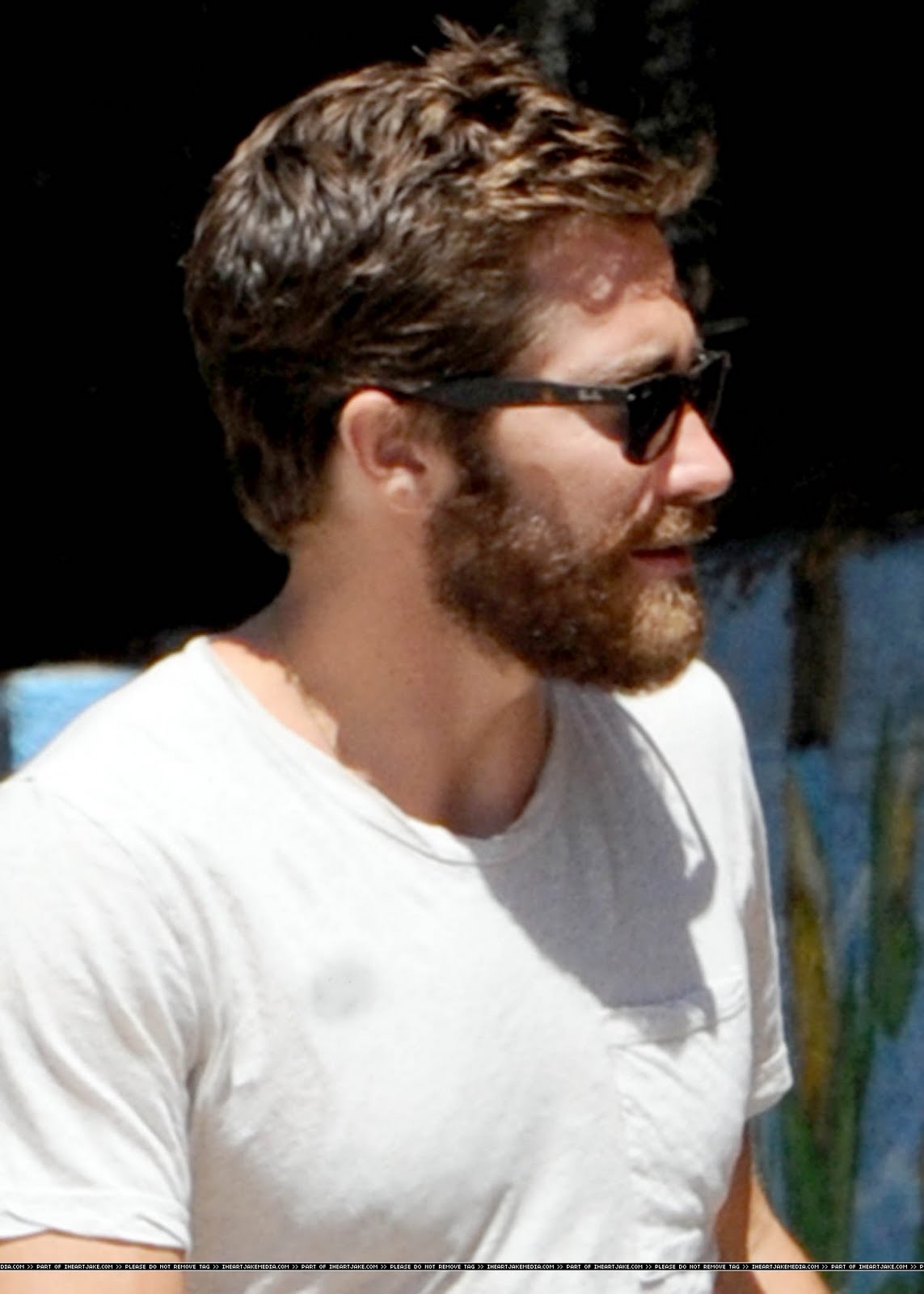 Jake Gyllenhaal Beard