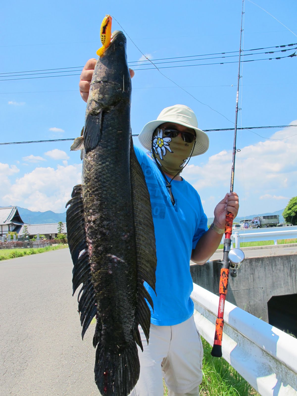 Tackle Source: FISHING IN JAPAN - FRESHWATER