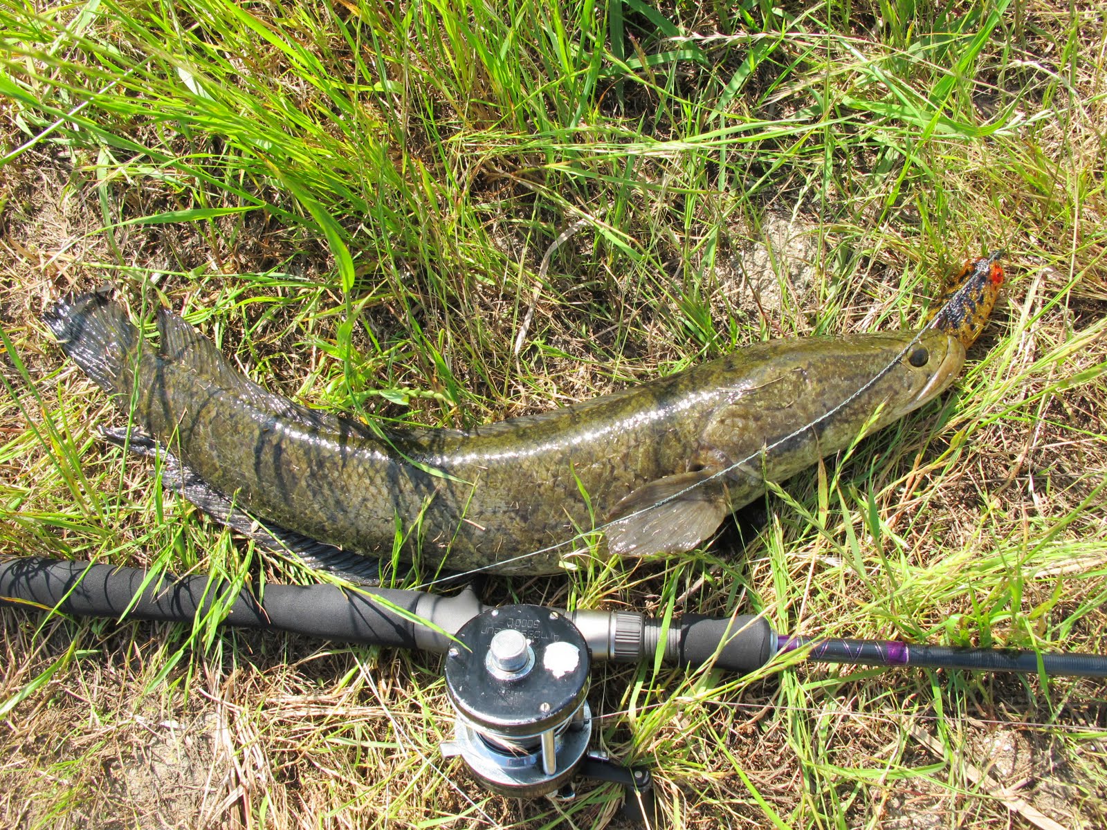 Tackle Source: FISHING IN JAPAN - FRESHWATER