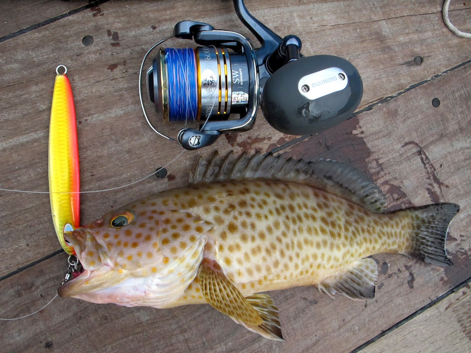 Tackle Source: JIG JIG JIG!