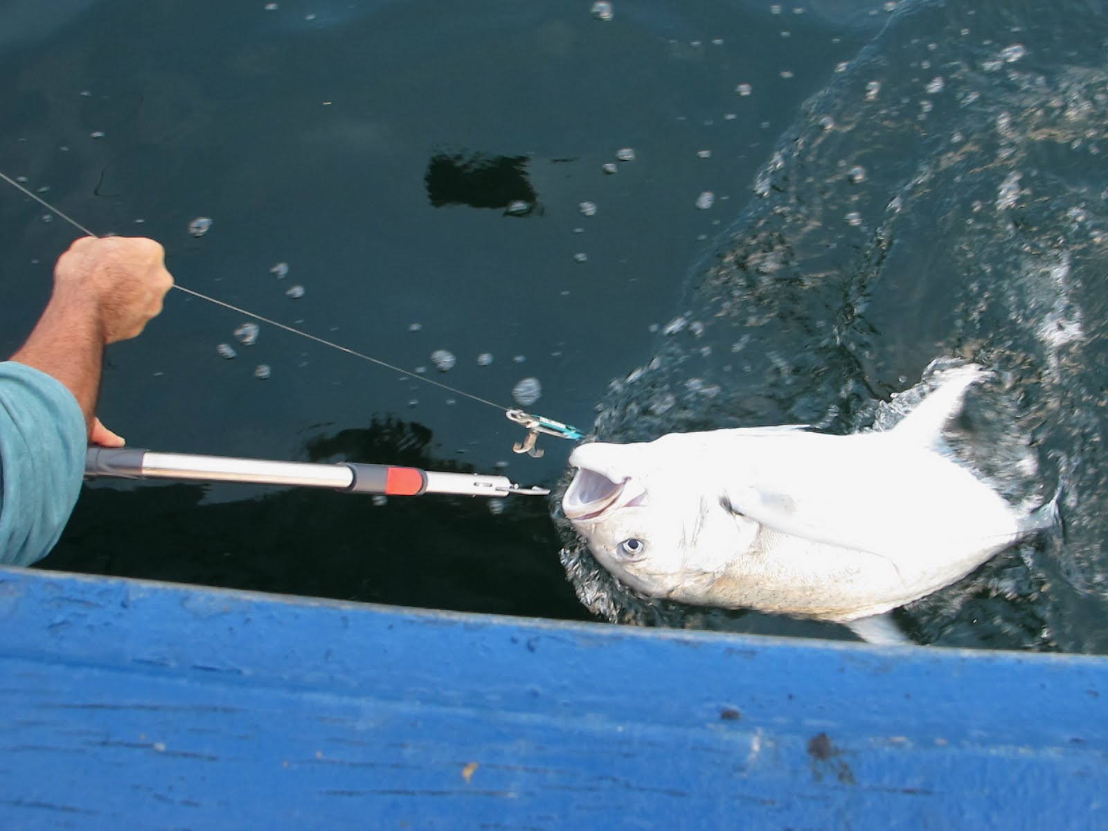 Tackle Source: JIG JIG JIG!