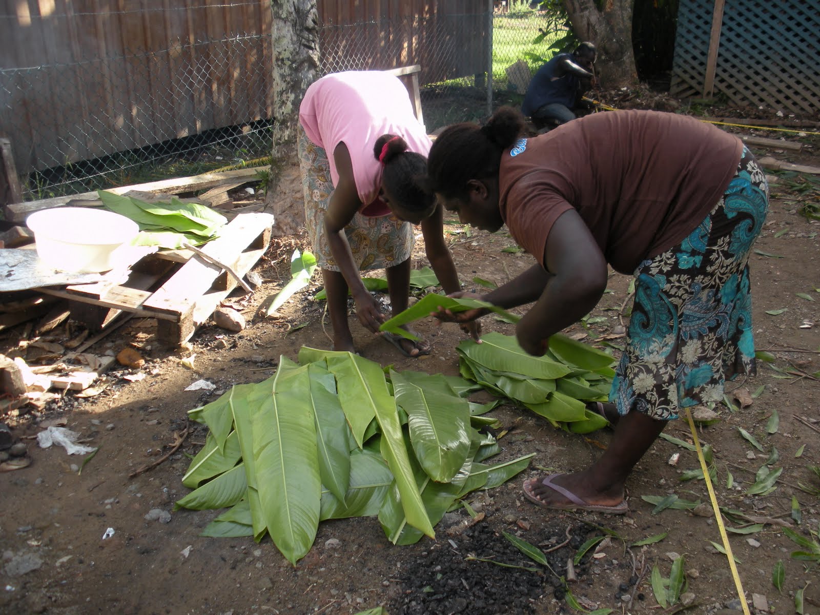 Project MAST: How to "Motu"