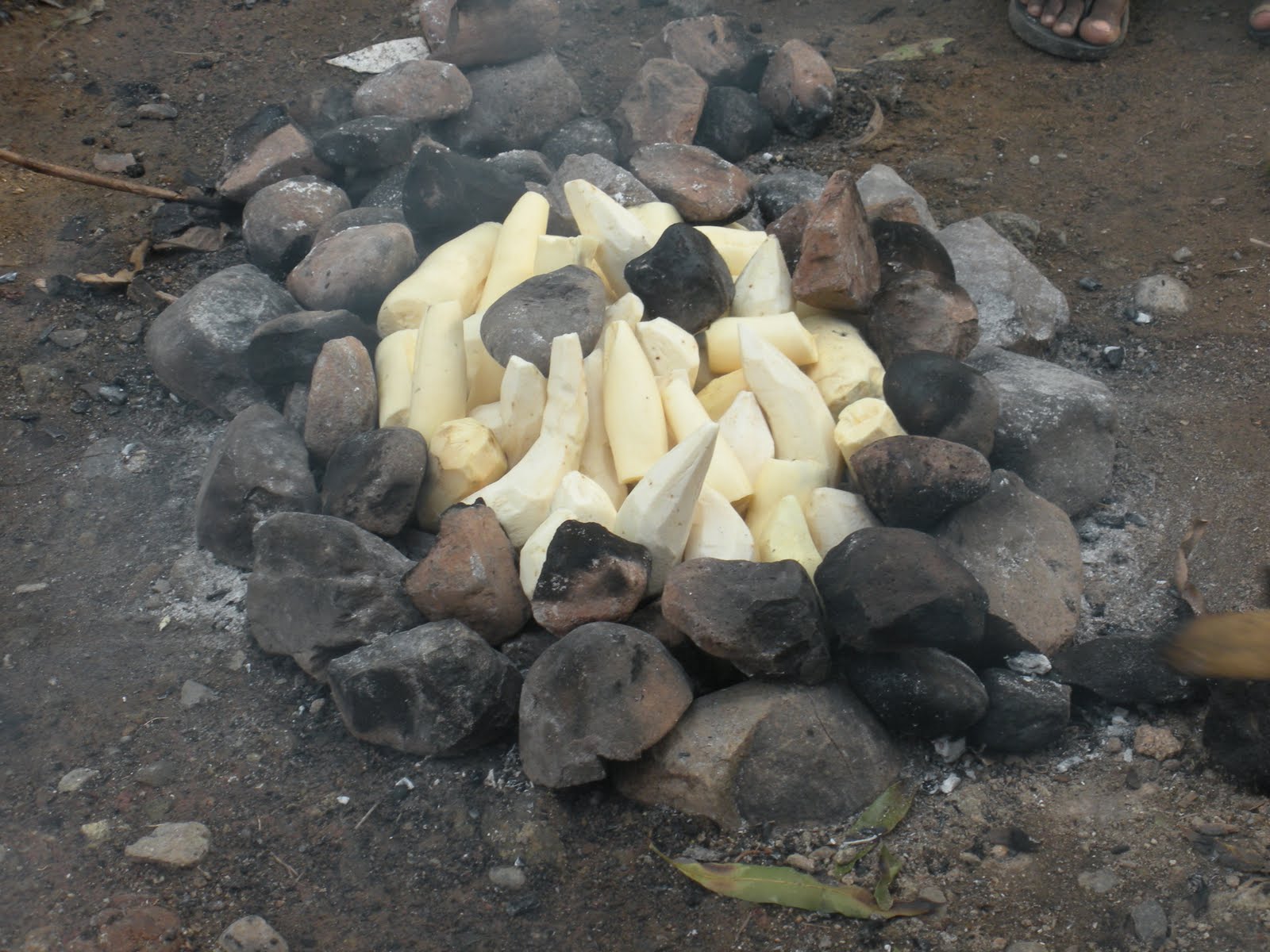 Project MAST: How to "Motu"