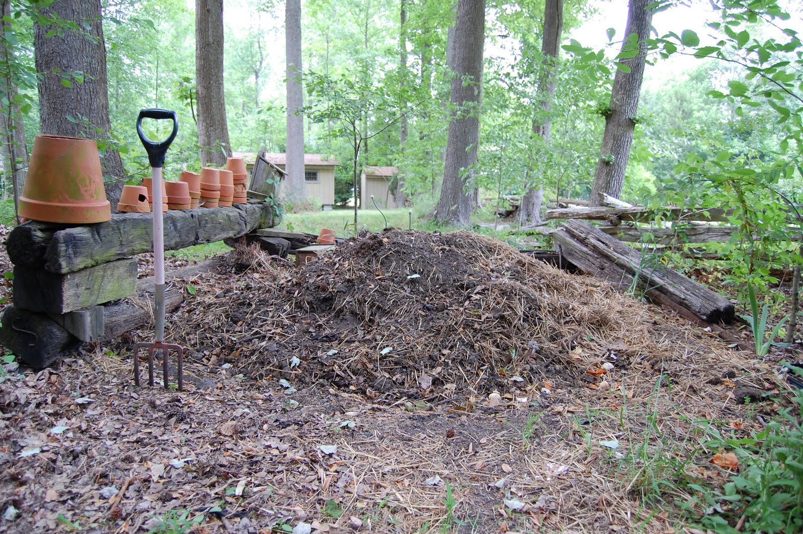 Compost: making black gold in your own backyard